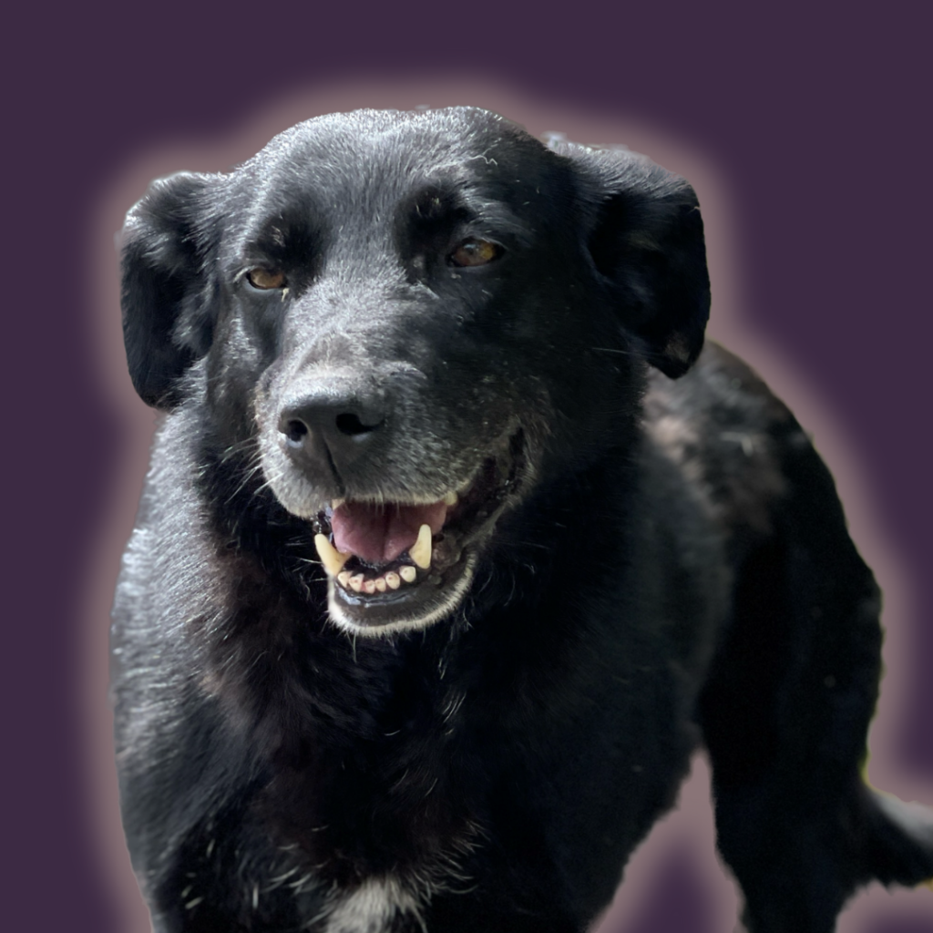 Donate to help Maria